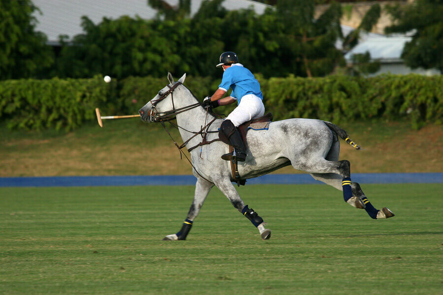 Tudo o que você precisa saber sobre o polo - Fit People